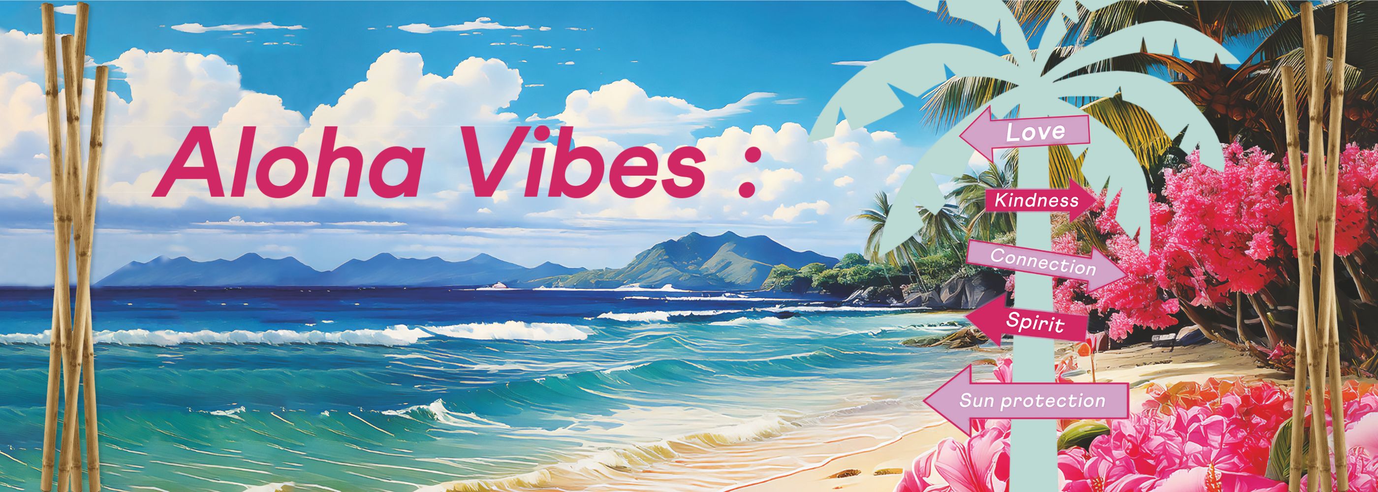 Womens Hero – Speedo Malaysia Online